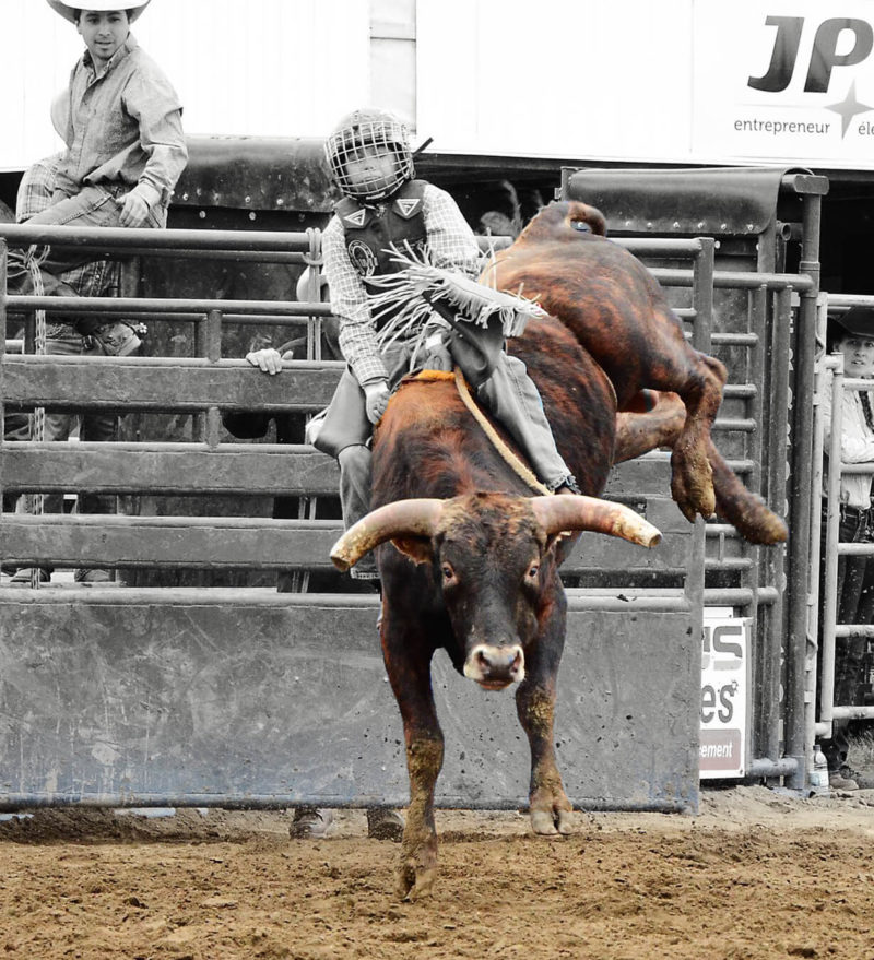 Rodéo d'Ayer's Cliff - Festival de rodéo, musique country et activités ...