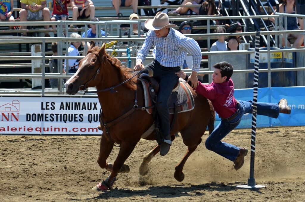 The rodeo and its disciplines - Rodéo Ayer's Cliff