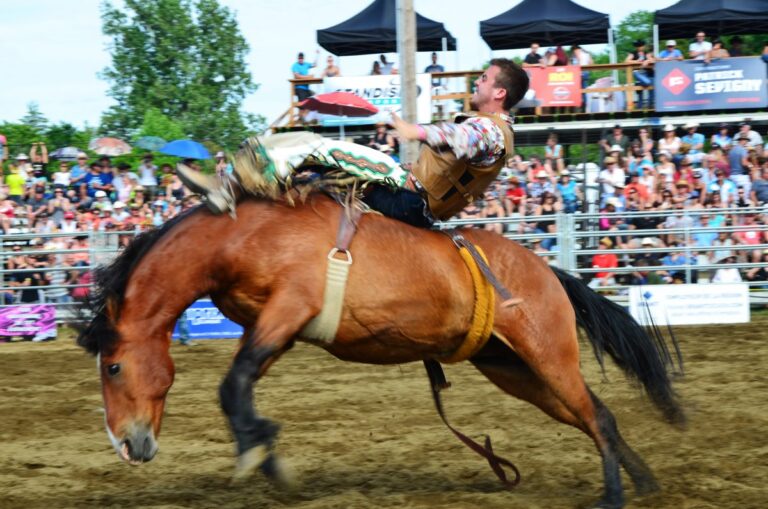 The rodeo and its disciplines - Rodéo Ayer's Cliff