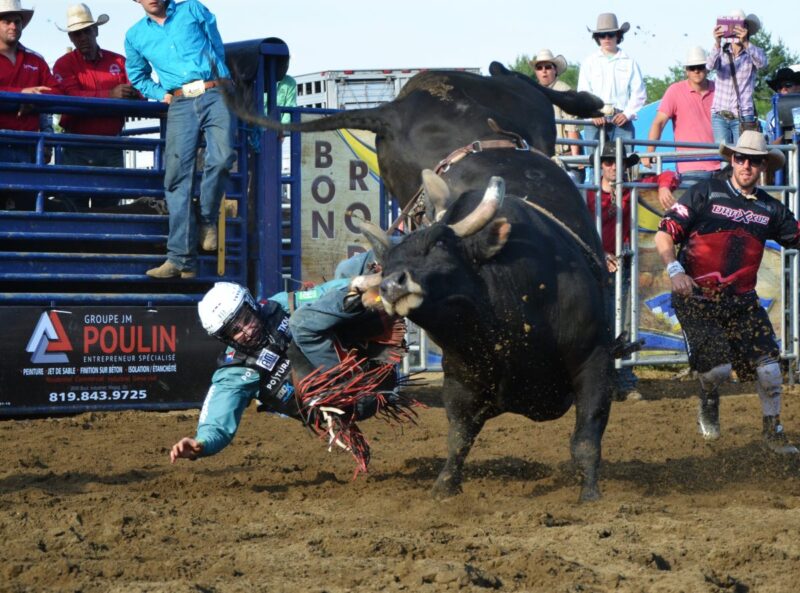 The rodeo and its disciplines - Rodéo Ayer's Cliff