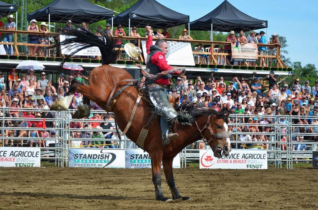 Le rodéo et les disciplines - Rodéo Ayer's Cliff