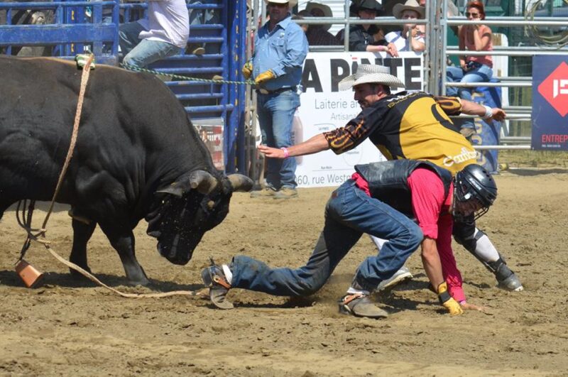 Le rodéo et les disciplines - Rodéo Ayer's Cliff