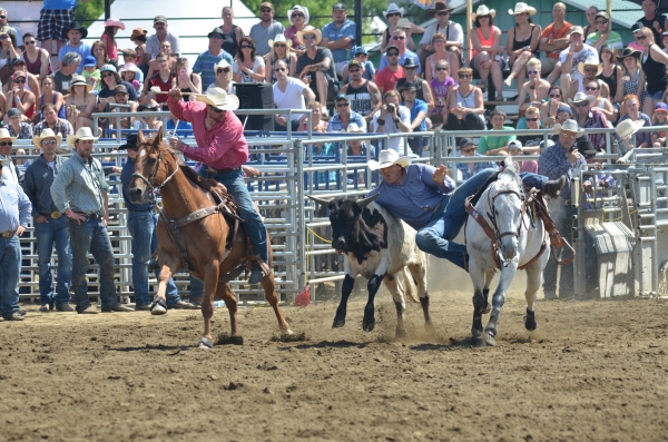 Le rodéo et les disciplines - Rodéo Ayer's Cliff