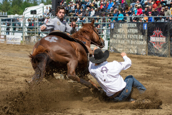 Le rodéo et les disciplines - Rodéo Ayer's Cliff